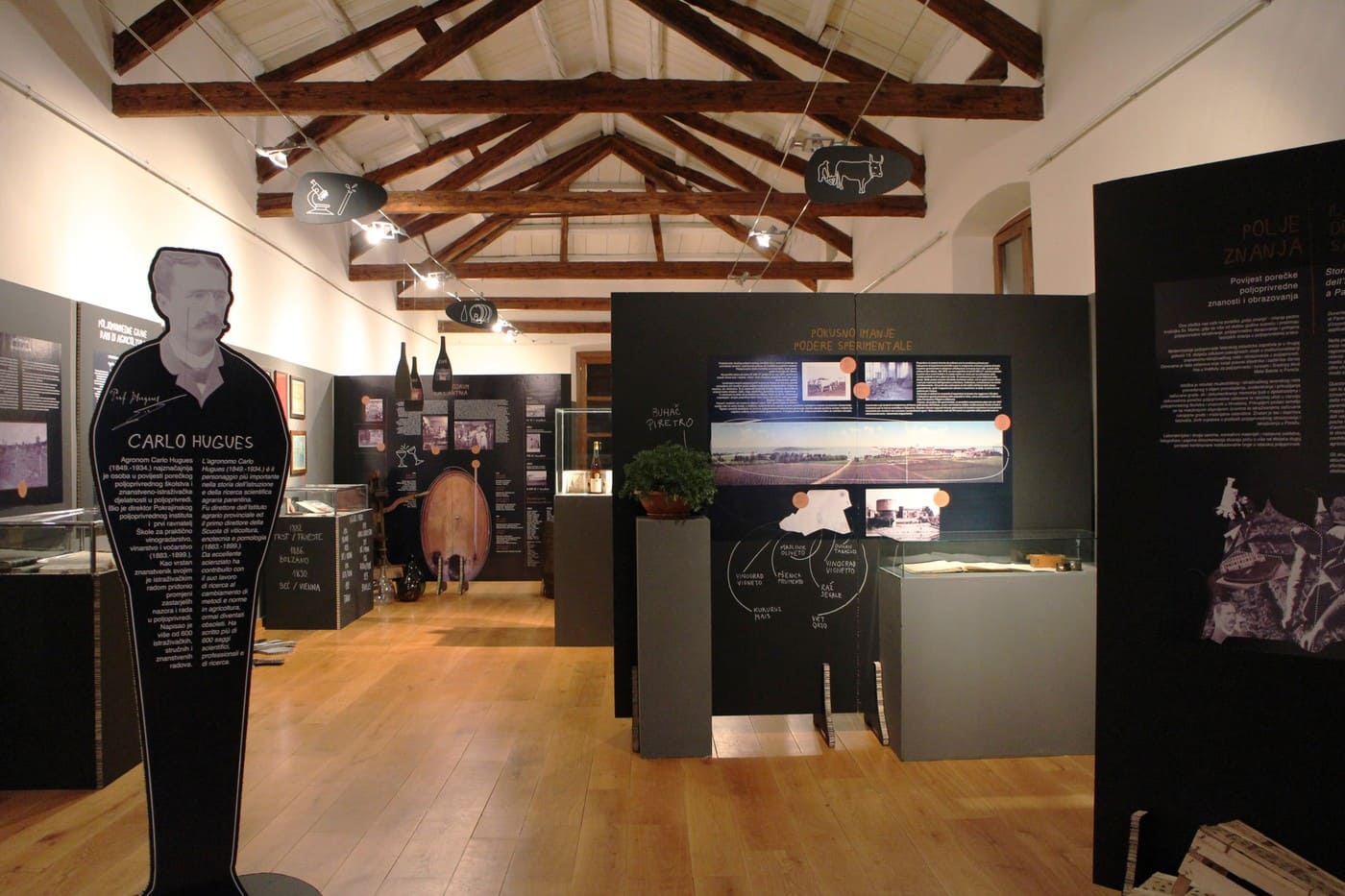 Que faire à Porec? Top 12 des choses incontournables à faire et visiter